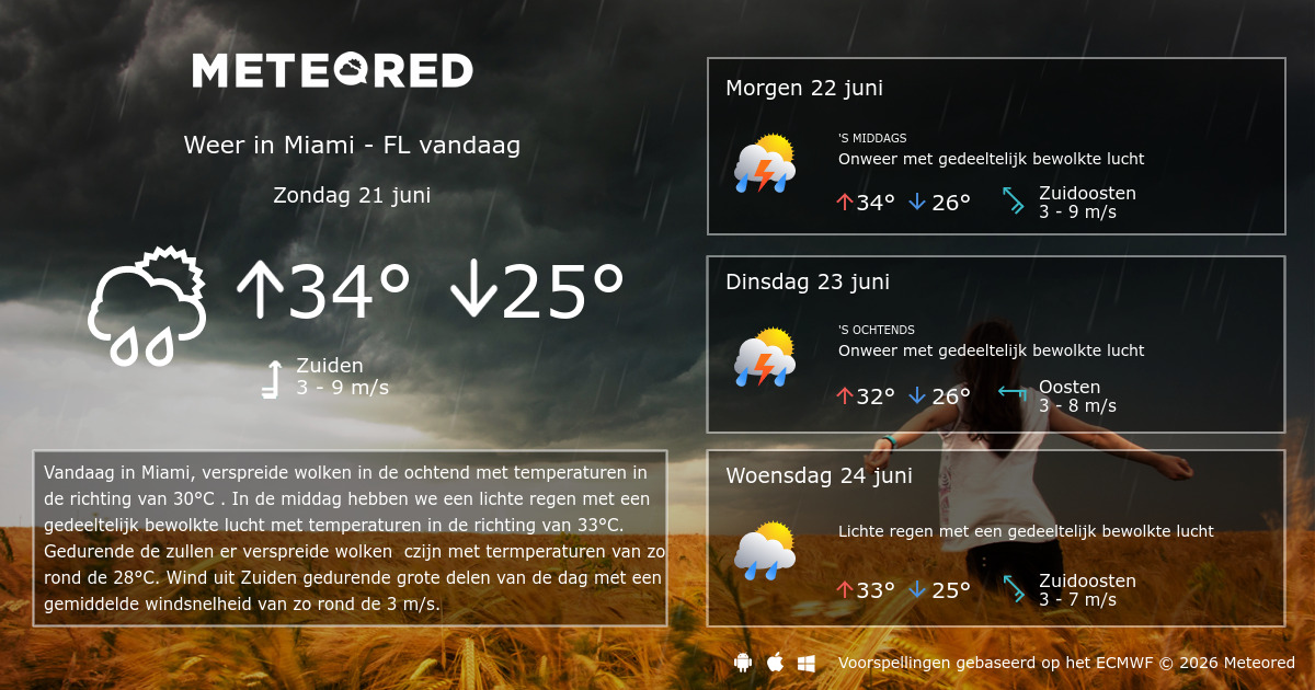 Weer Miami - FL 14 dagen - Meteored Nederland